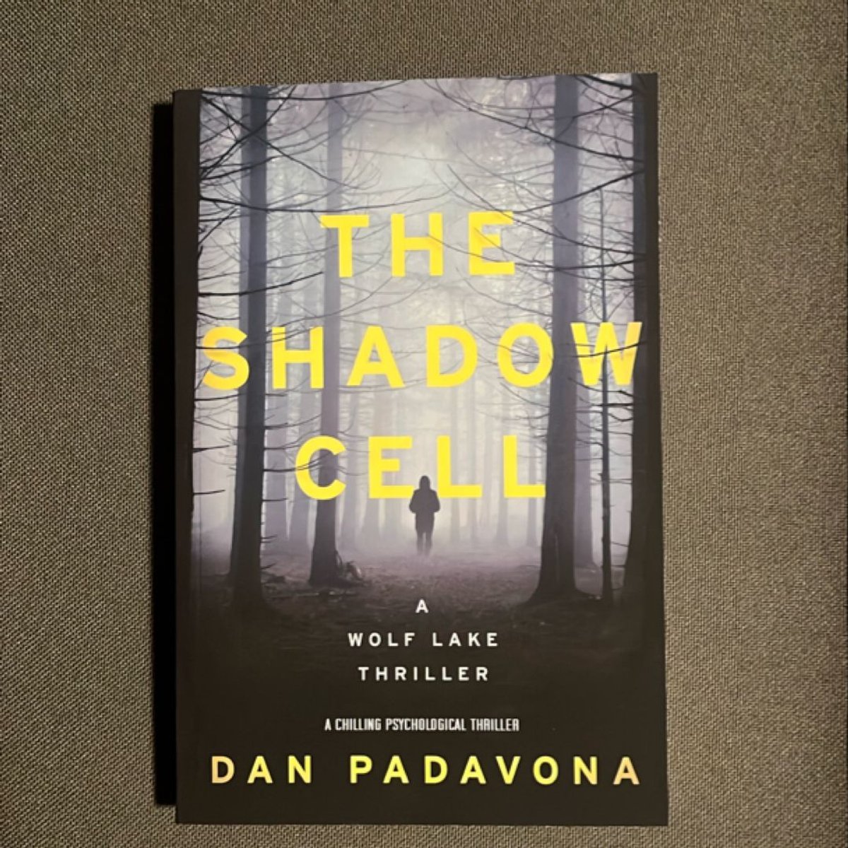 The Shadow Cell by Dan Padavona
