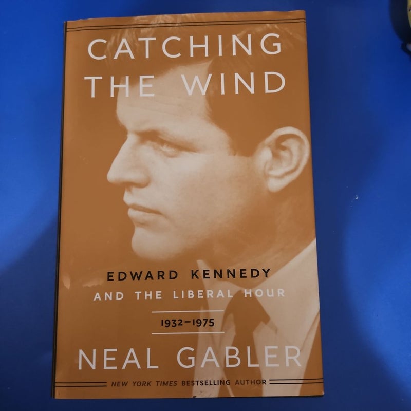 Catching the Wind by Neal Gabler