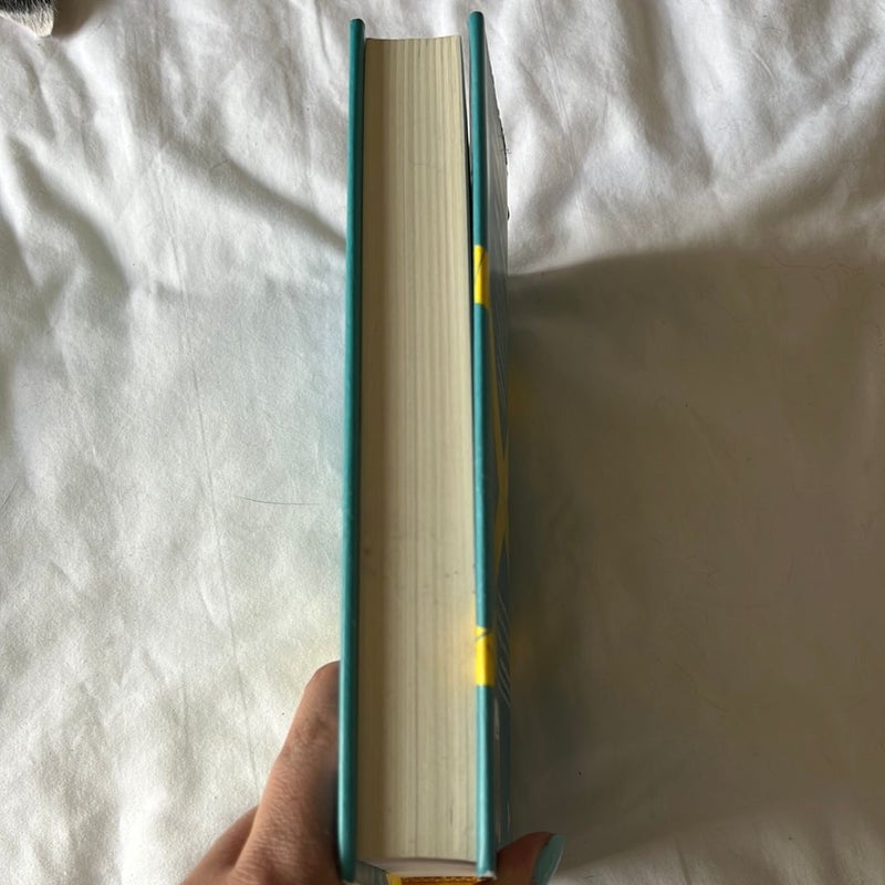 Fat Girl on a Plane by Kelly deVos