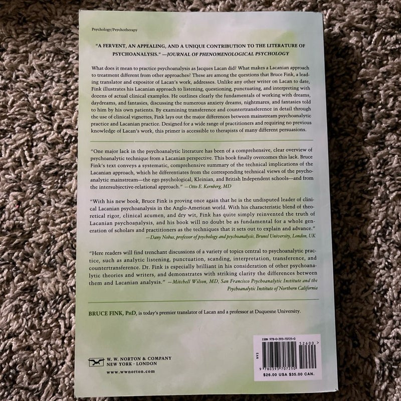 Fundamentals of Psychoanalytic Technique by Bruce Fink, Paperback ...