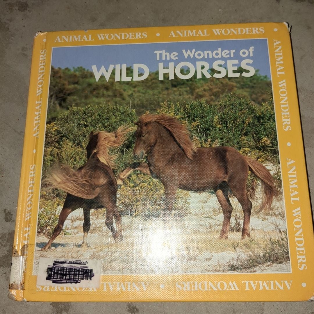 The Wonder of Wild Horses by Rita Ritchie, Mark Henckel, Michael ...