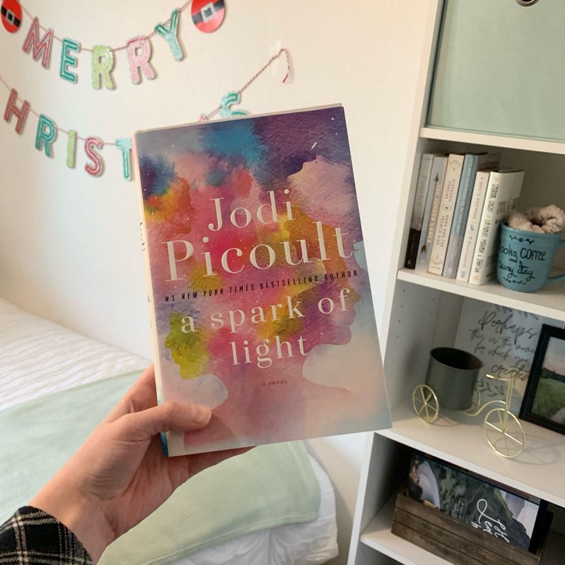 A Spark of Light by Jodi Picoult