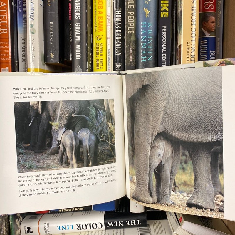 The elephant family book by Otis Douglas-Hamilton, Hardcover | Pangobooks
