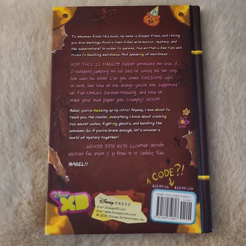 Dipper's Guide to Mystery by Rob Renzetti, Hardcover | Pangobooks