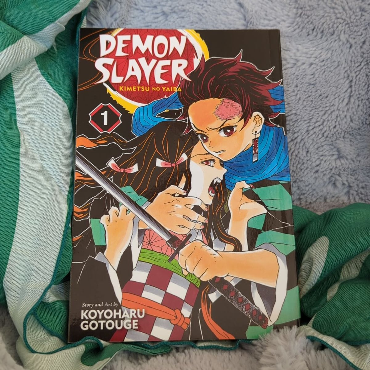 Demon Slayer: Kimetsu No Yaiba, Vol. 1 by Koyoharu Gotouge, Paperback ...