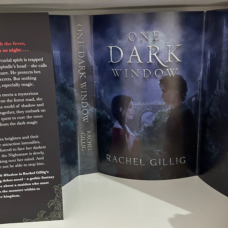 Fairyloot One Dark Window by Rachel Gillig, Hardcover | Pangobooks