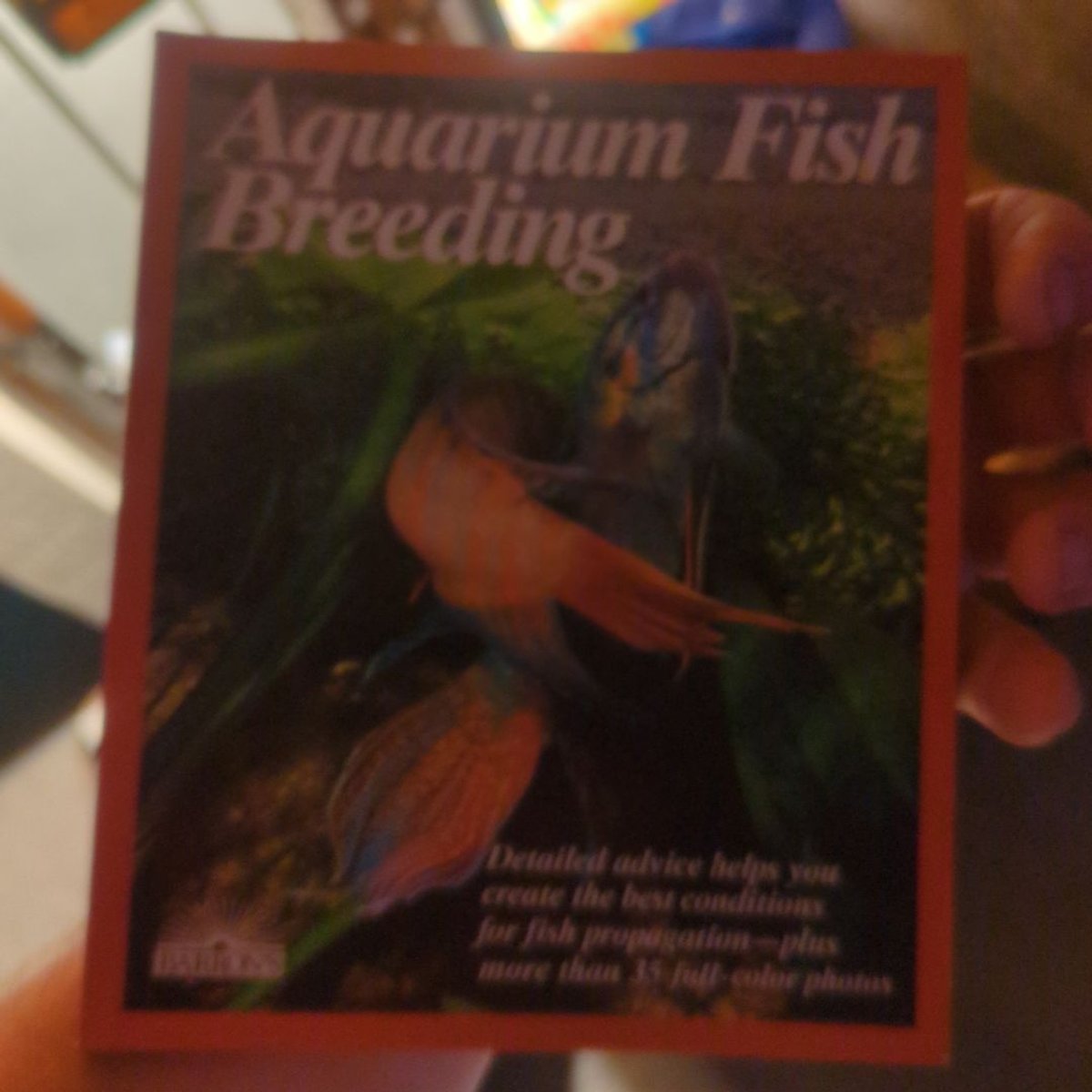 Aquarium Fish Breeding by Ines Scheurmann