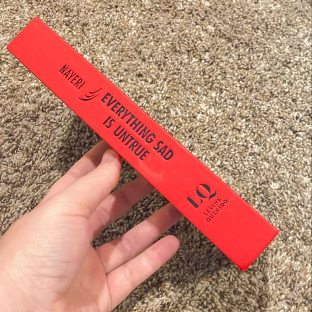 Everything Sad Is Untrue by Daniel Nayeri