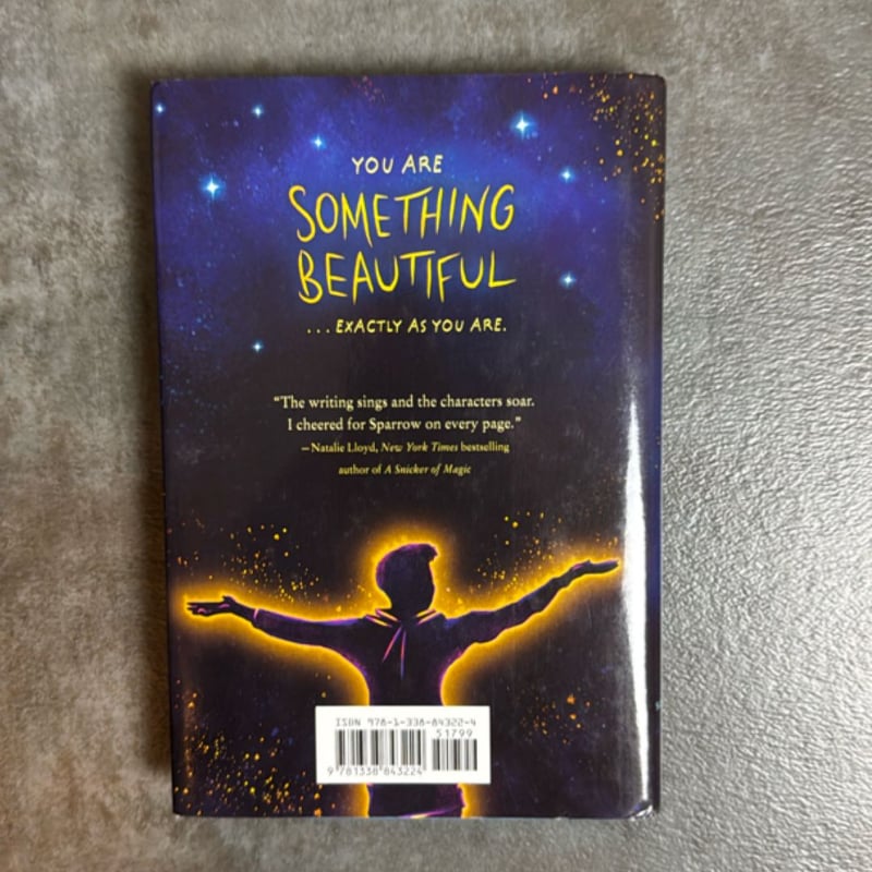 The Beautiful Something Else by Ash Van Otterloo