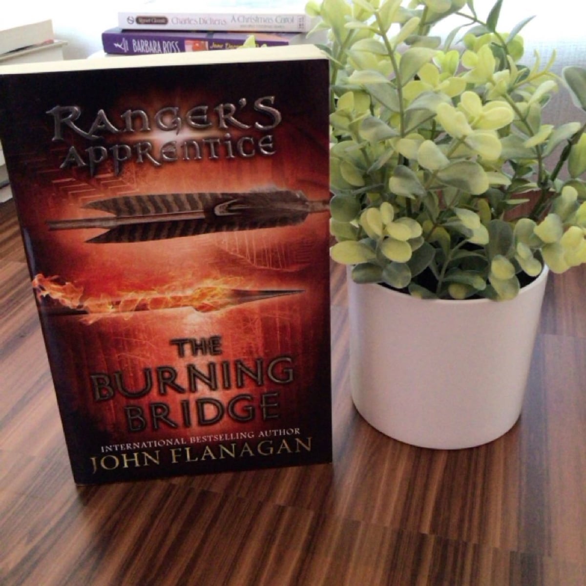 The Burning Bridge by John Flanagan