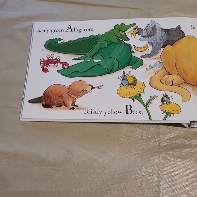 Alphabet by Matthew Van Fleet