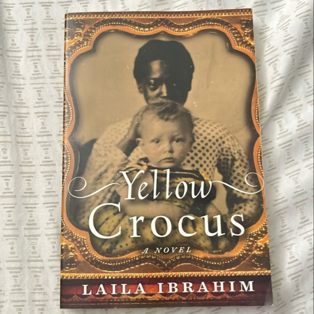 Yellow Crocus by Laila Ibrahim
