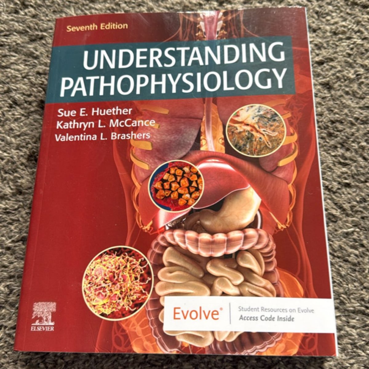 Understanding Pathophysiology by Sue E. Huether, Kathryn L. McCance
