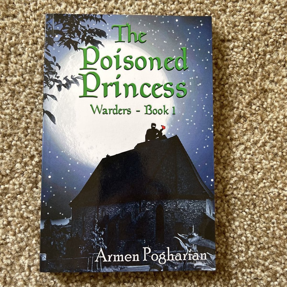 The Poisoned Princess by Armen Pogharian