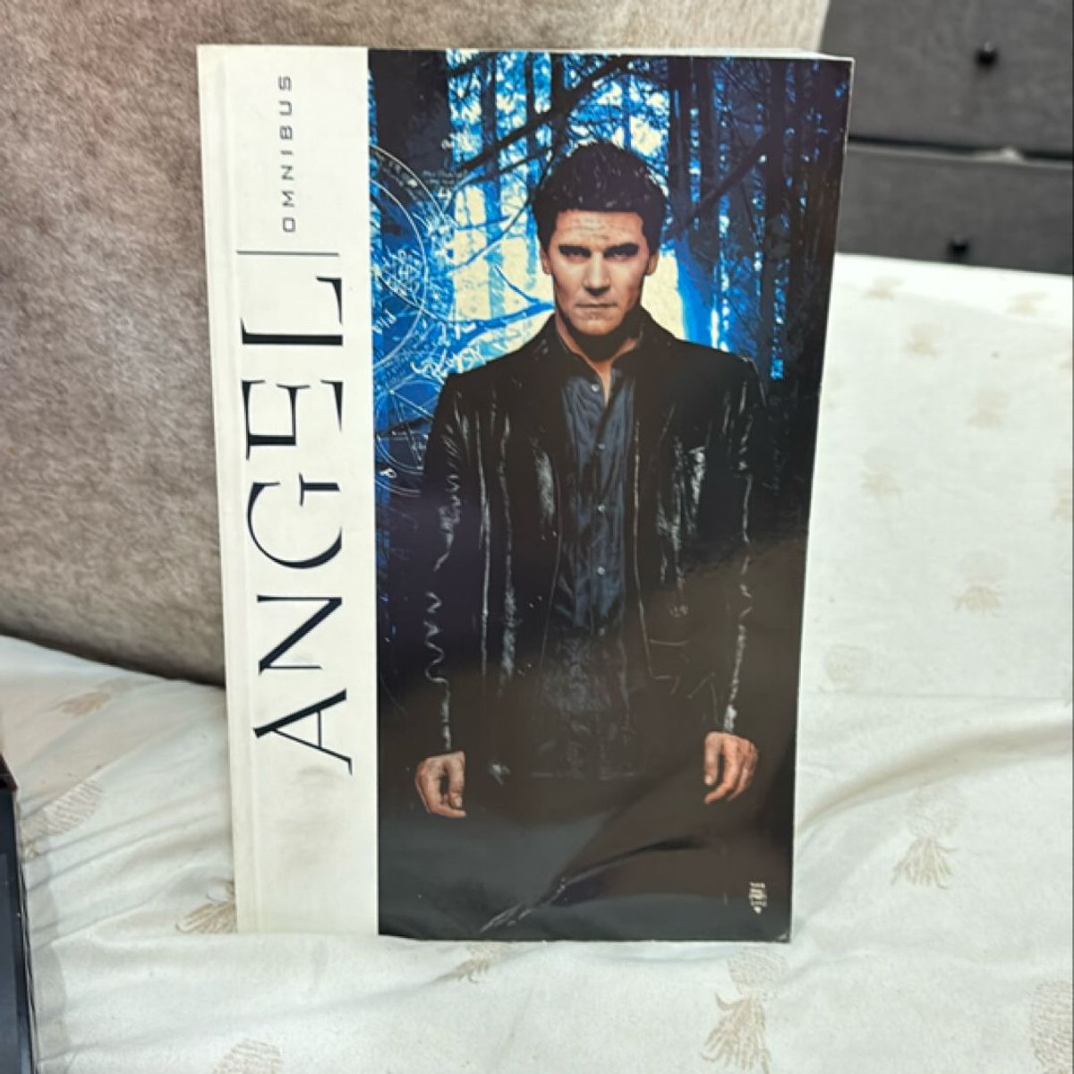 Angel Omnibus by David Peter, Peter David, Jay Faerber, Dan Jolley ...