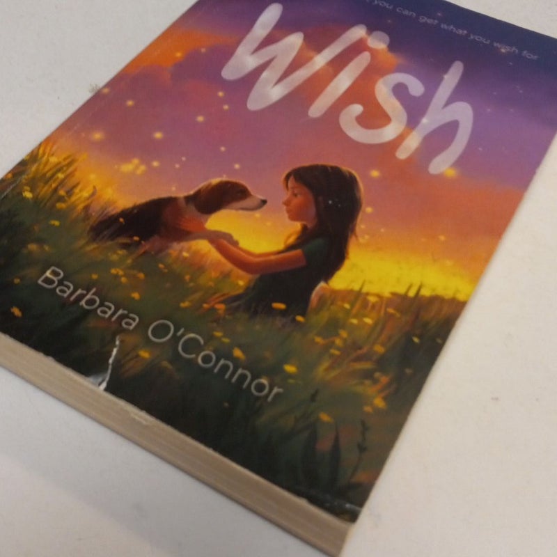 Wish by Barbara. O'Connor, Paperback | Pangobooks