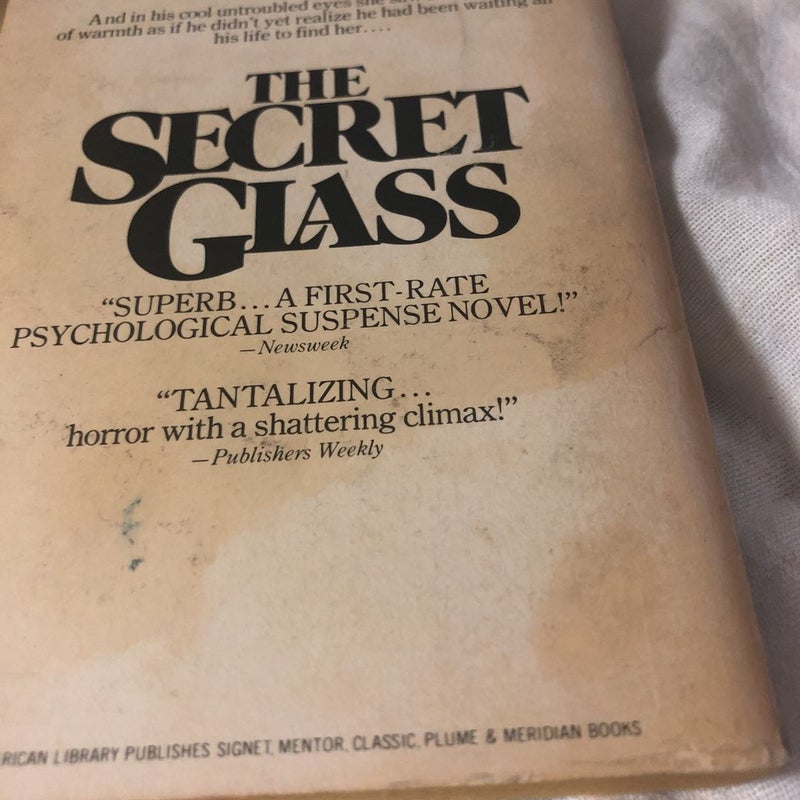 The Secret Glass by Beryl Bainbridge, Paperback | Pangobooks