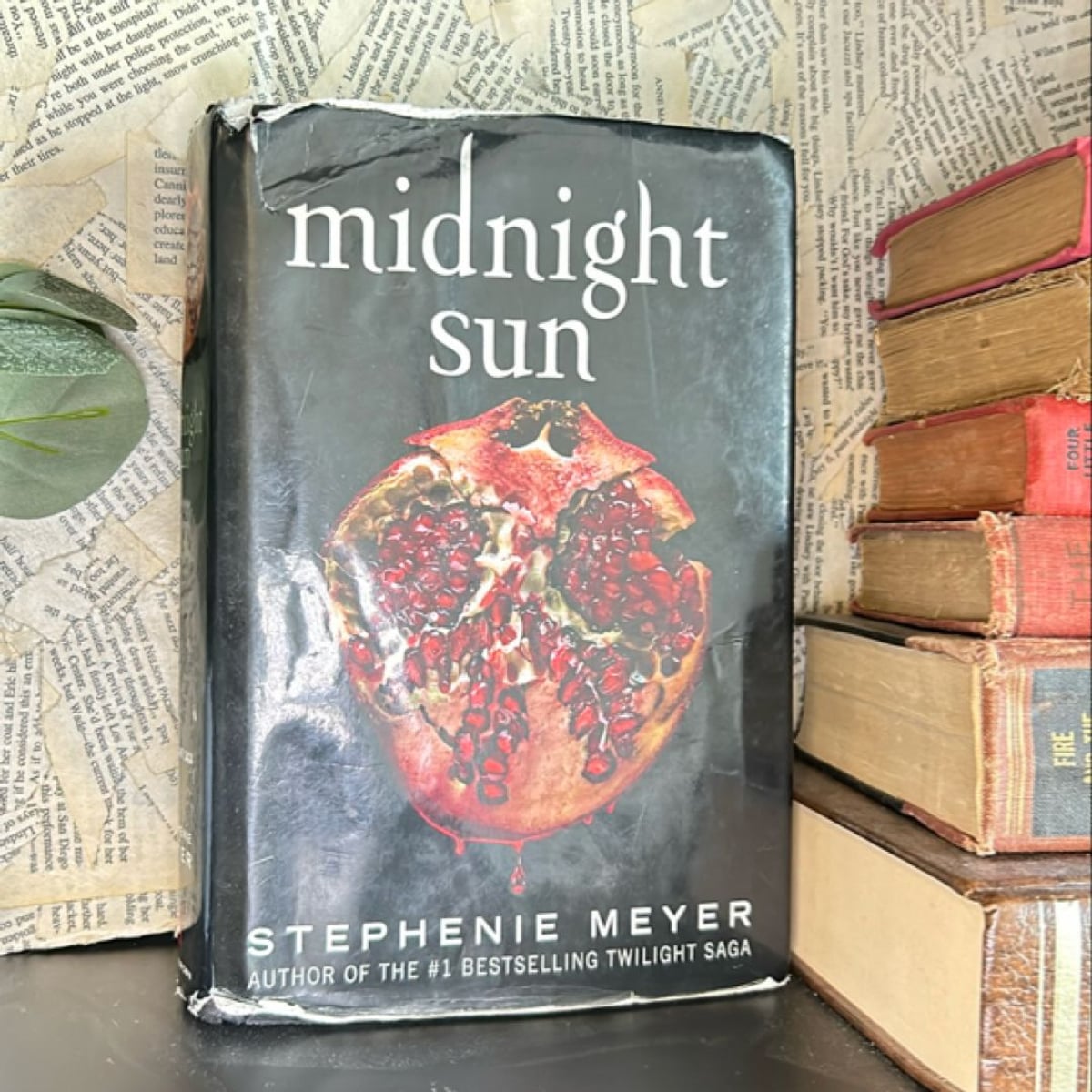 Midnight Sun by Stephenie Meyer