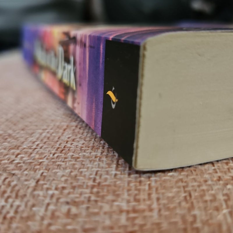 A Wish in the Dark by Christina Soontornvat, Paperback | Pango Books