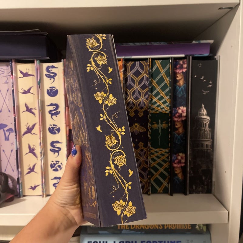 Twin Crowns by Katherine Webber, Paperback | Pangobooks