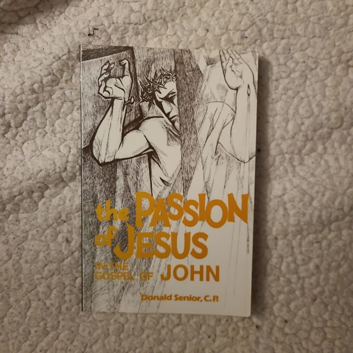 The Passion of Jesus in the Gospel of John by Donald Senior
