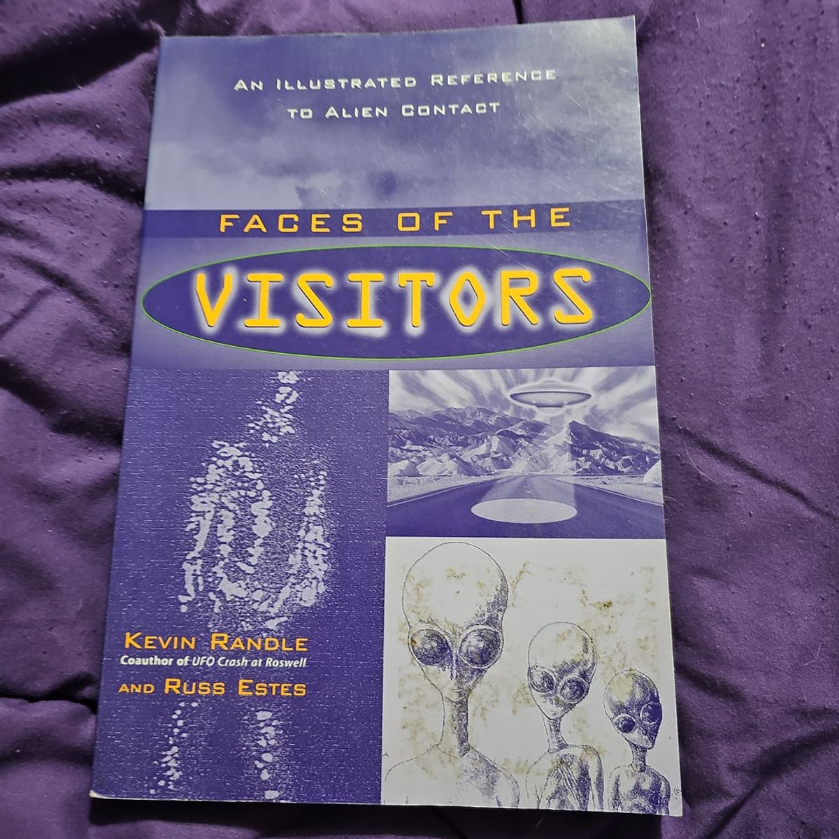 Faces of the Visitors by Kevin Randle
