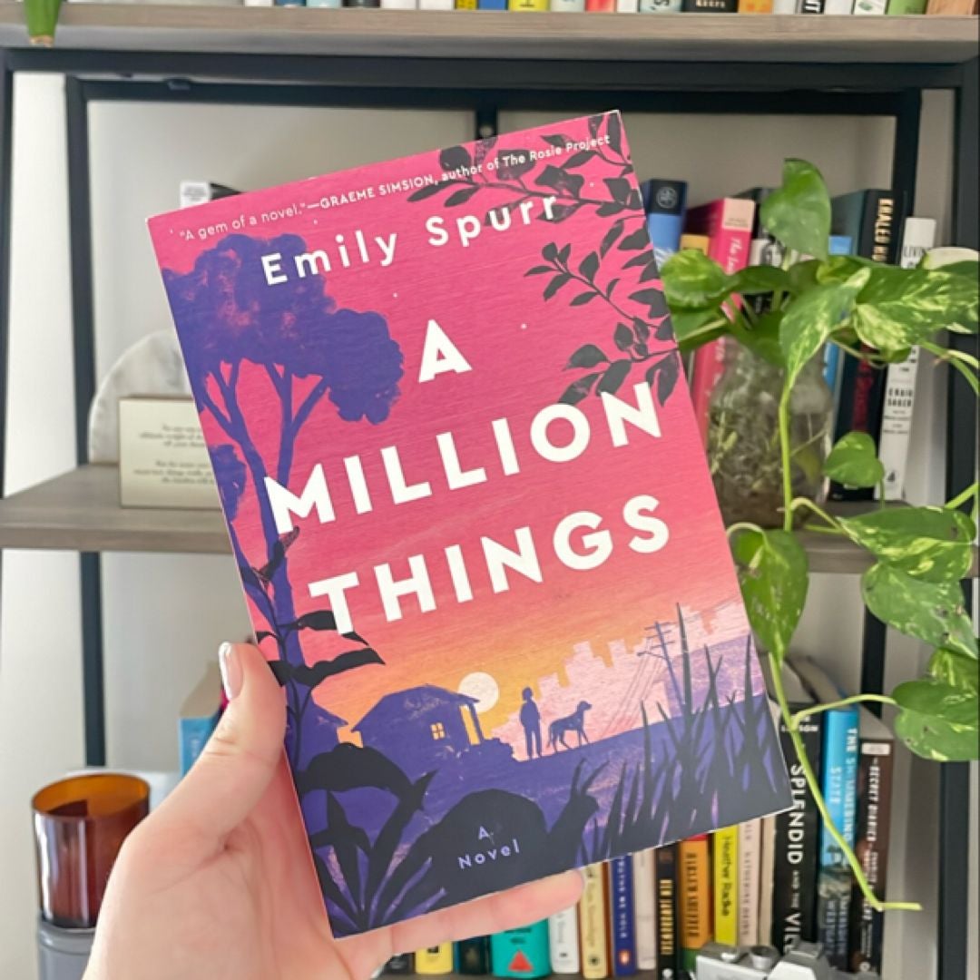 A Million Things by Emily Spurr