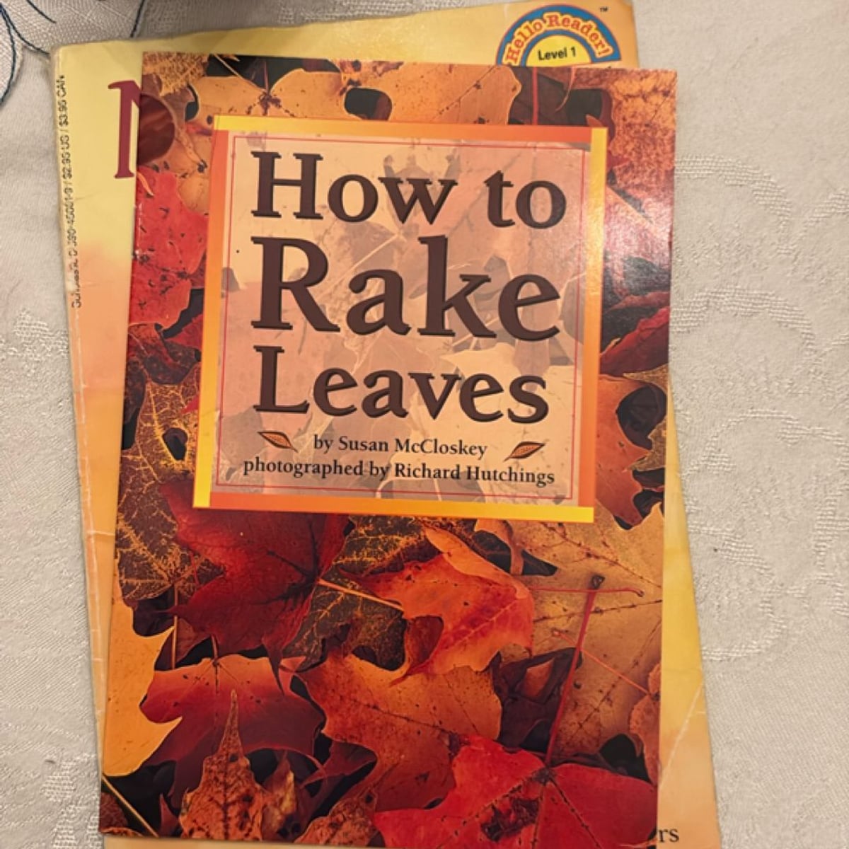 How to Rake Leaves by Susan McCloskey