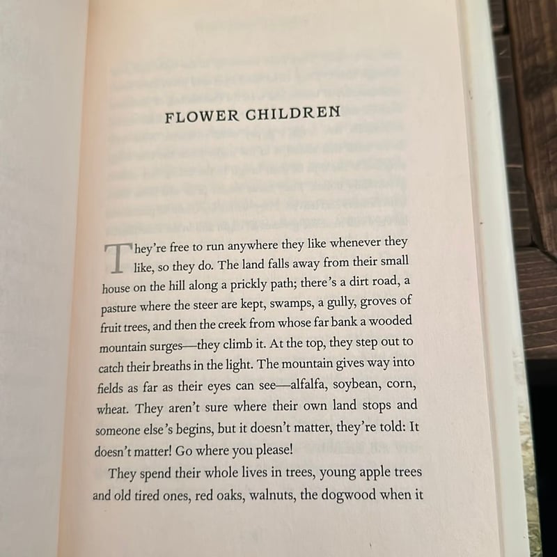 Flower Children by Maxine Swann, Hardcover | Pangobooks