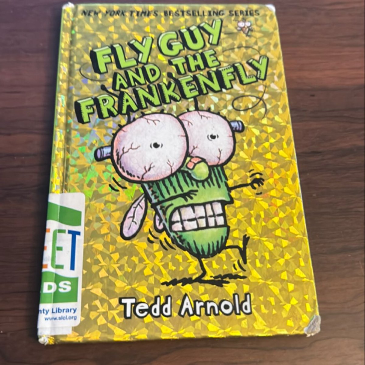 Fly Guy and the Frankenfly (Fly Guy #13) by