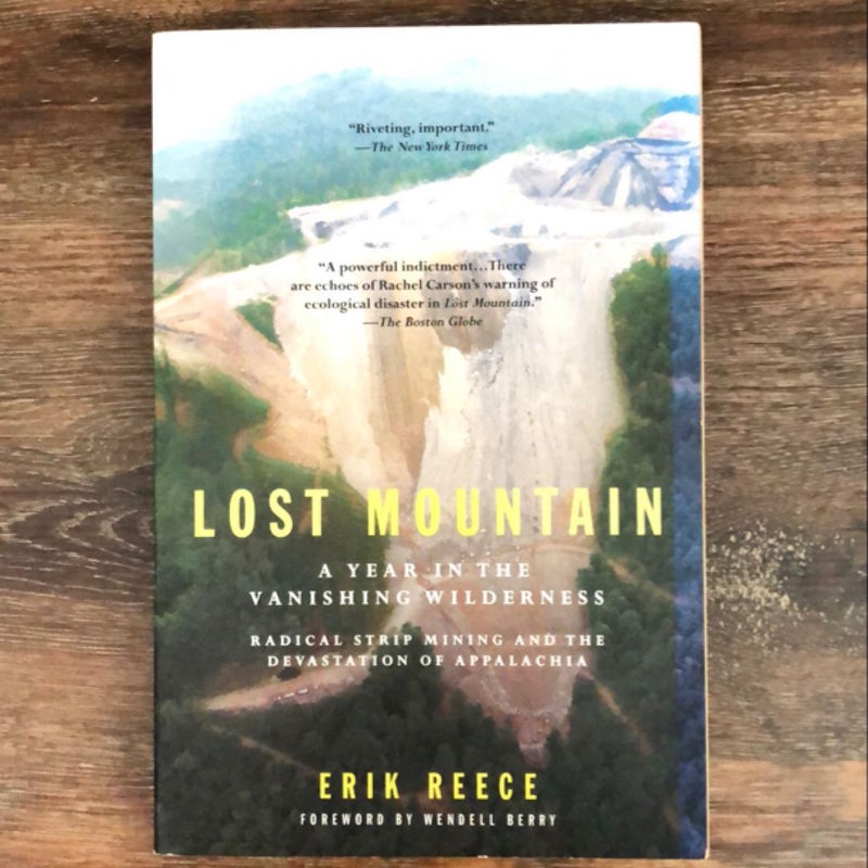 Lost Mountain by Erik Reece