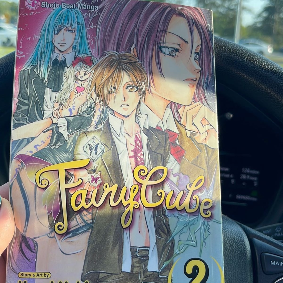 Fairy Cube, Vol. 2 by Kaori Yuki