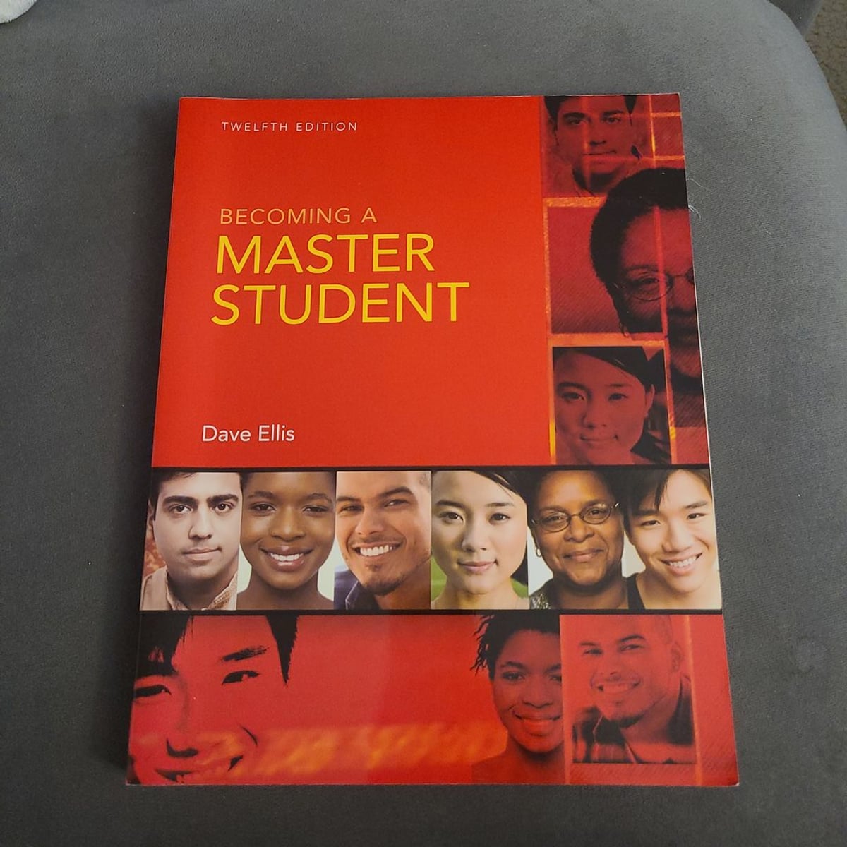 Becoming a Master Student by Dave Ellis