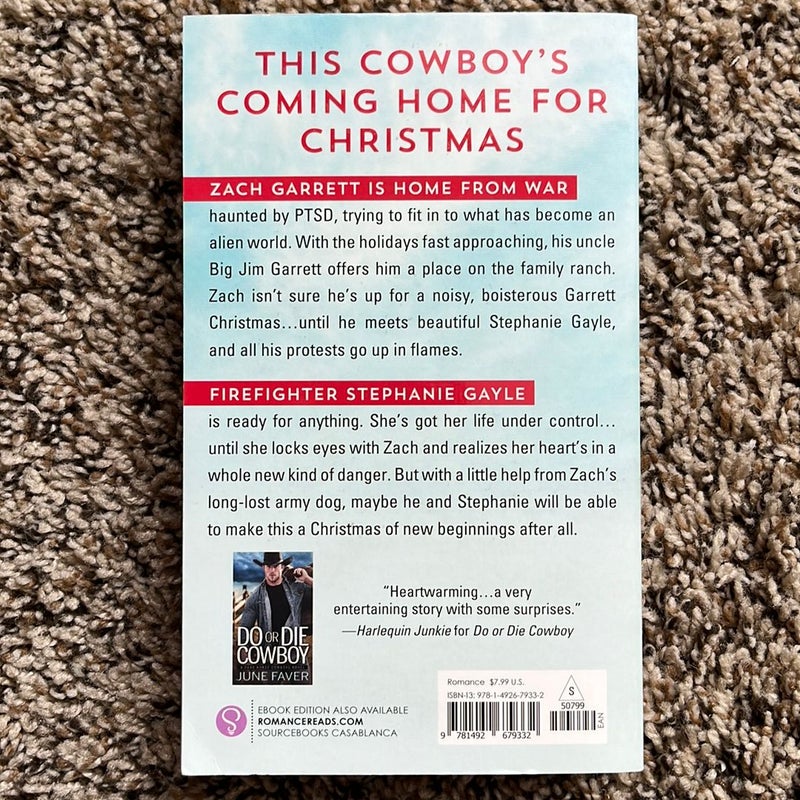 Cowboy Christmas Homecoming by June Faver, Paperback | Pangobooks
