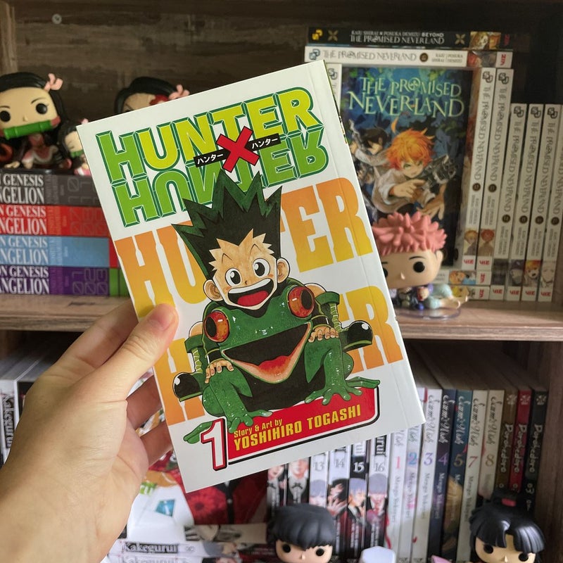 Hunter X Hunter, Vol. 1 by Yoshihiro Togashi, Paperback | Pangobooks
