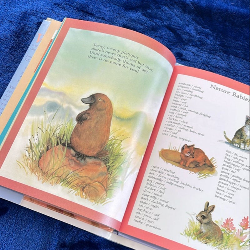A Pinky Is a Baby Mouse by Pam Muñoz Ryan
