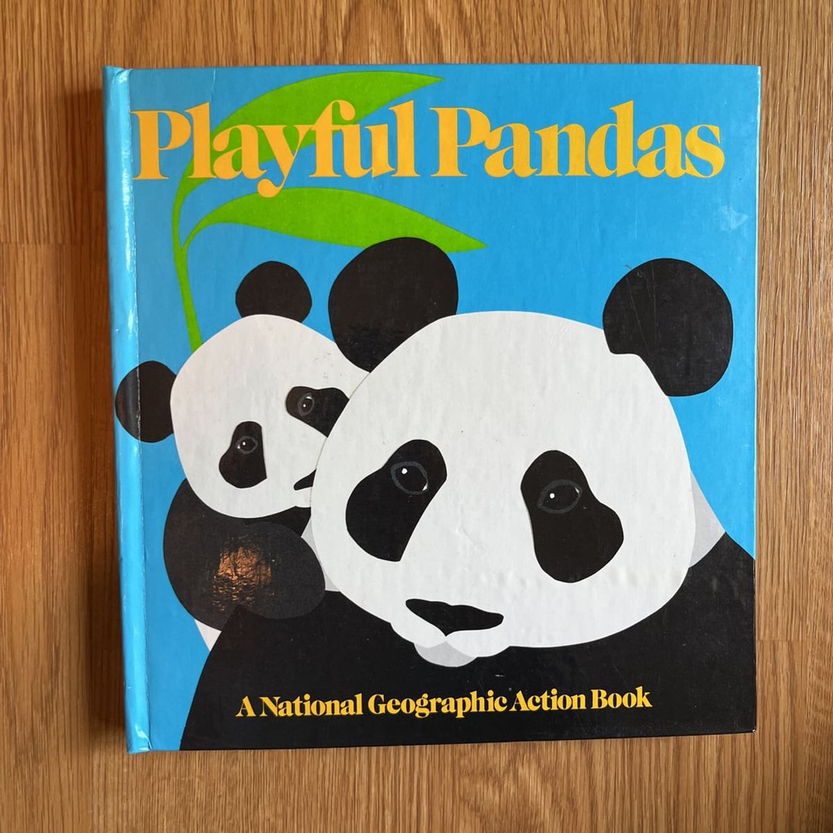 Playful Pandas by Jane H. Buxton