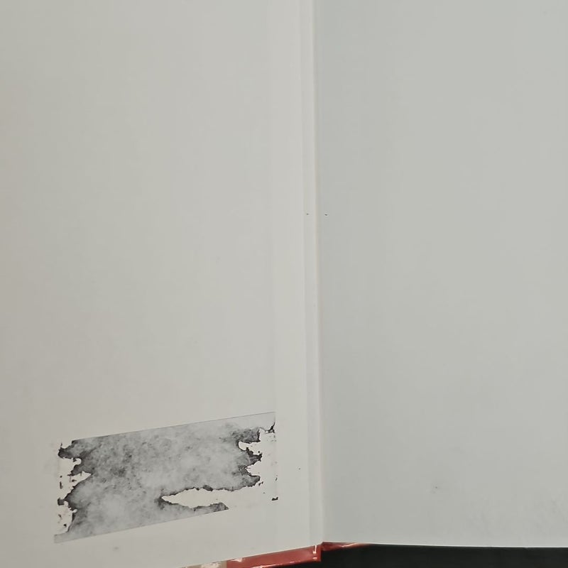 Angelina Jolie by Rachel Lynette