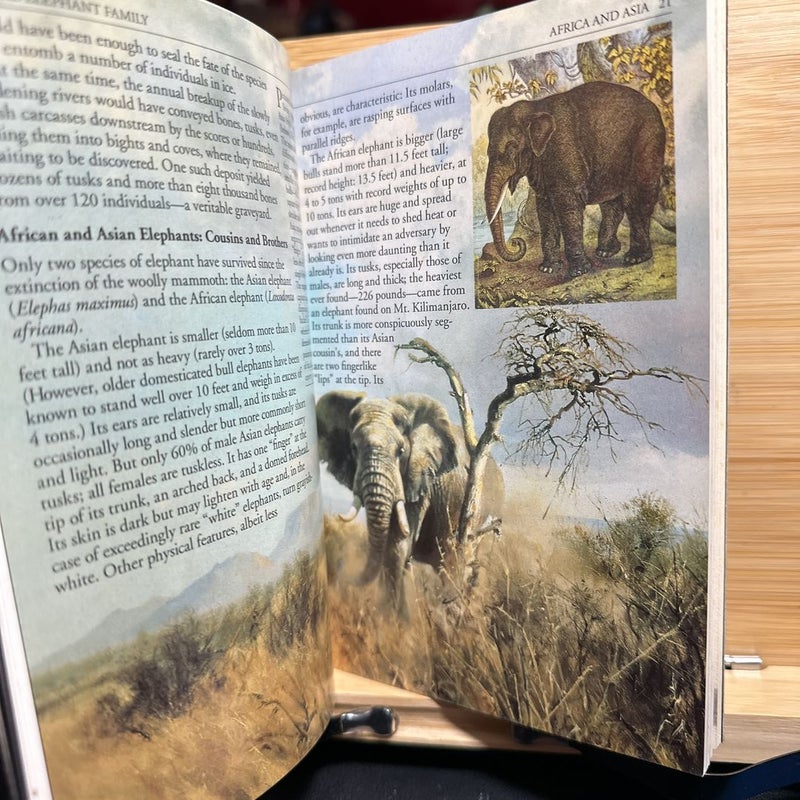 The Life and Lore of the Elephant by Robert Delort, Paperback | Pangobooks