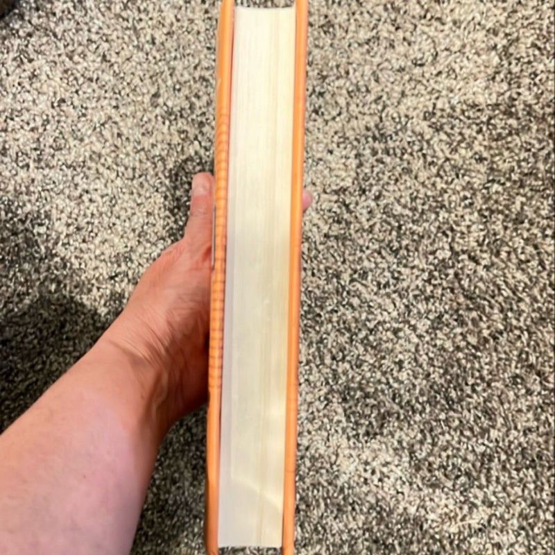 Perfect on Paper by Sophie Gonzales, Hardcover | Pangobooks