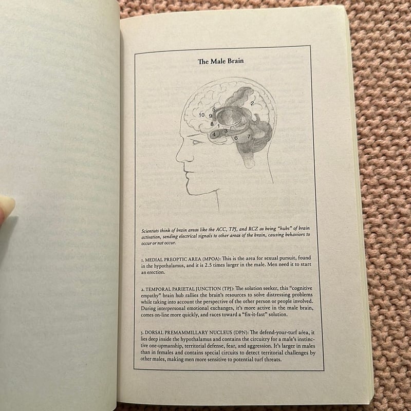 The Male Brain by Louann Brizendine, Paperback | Pangobooks