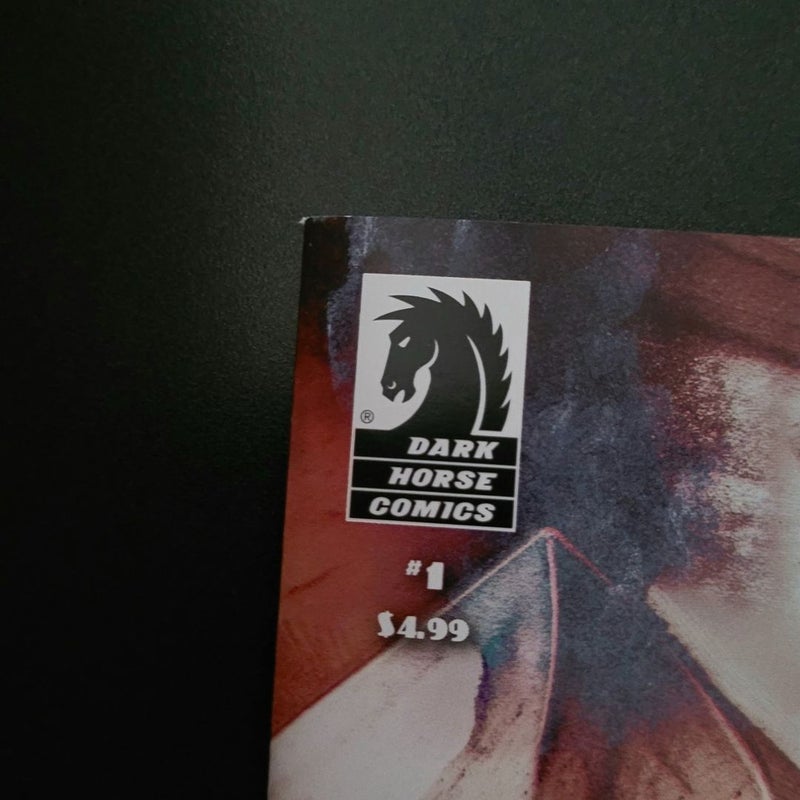 Barnstormers #1 by Tula Lotay, Scott Snyder , Paperback | Pangobooks