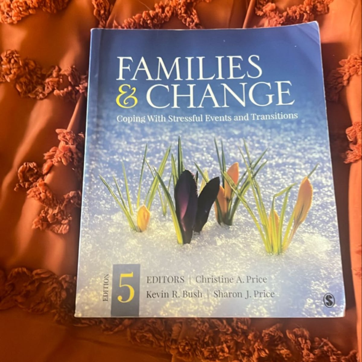 Families and Change by Christine A. Price