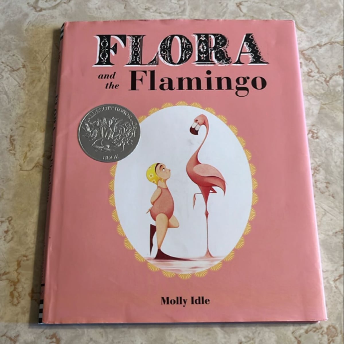 Flora and the Flamingo by Molly Idle