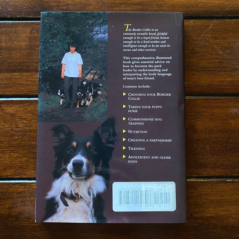 Understanding Border Collies by Barbara Sykes, Hardcover | Pangobooks