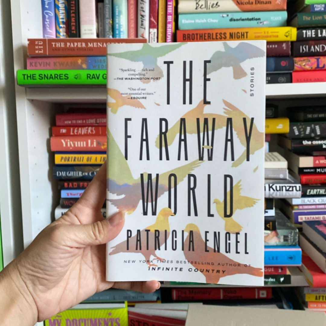 The Faraway World by Patricia Engel