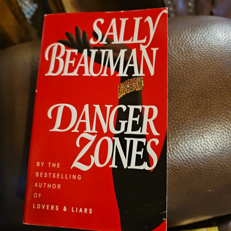 Danger Zones by Sally Beauman, Paperback | Pangobooks