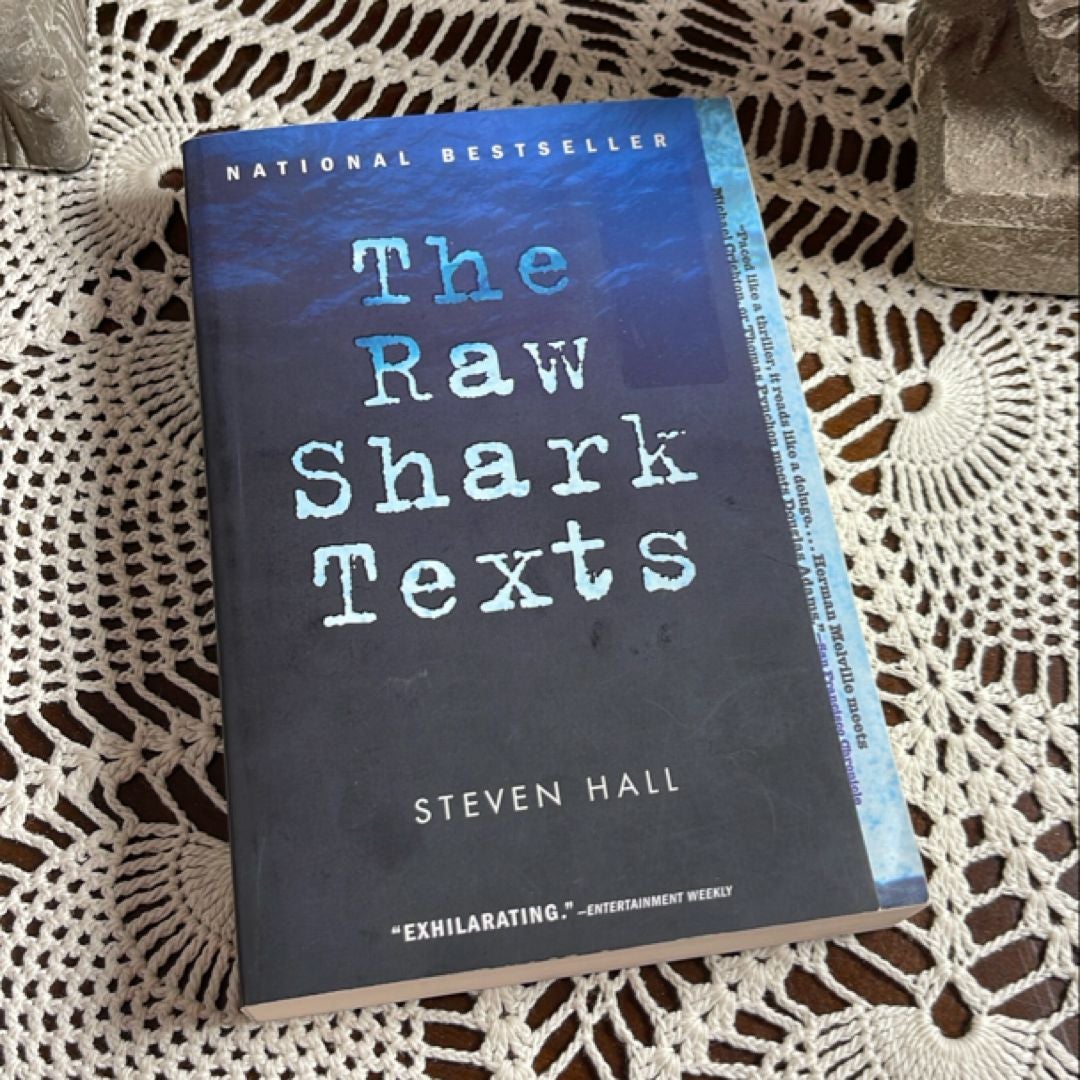 The Raw Shark Texts by Steven Hall