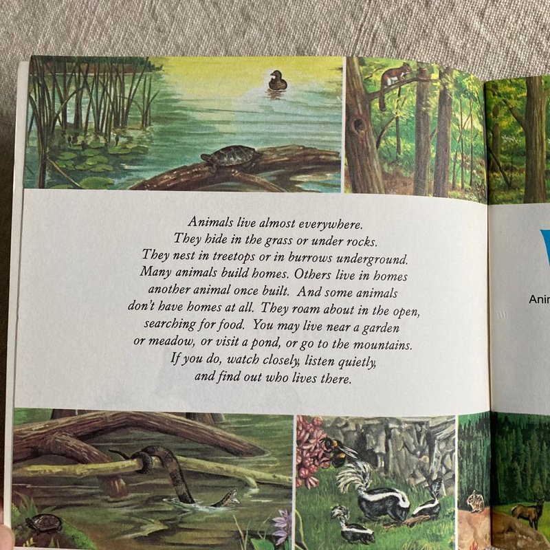 Who Lives Here? by Dorothy Barlowe