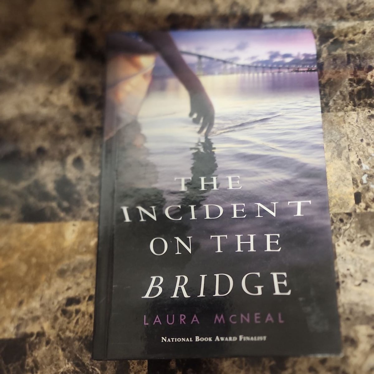 The Incident on the Bridge by Laura McNeal
